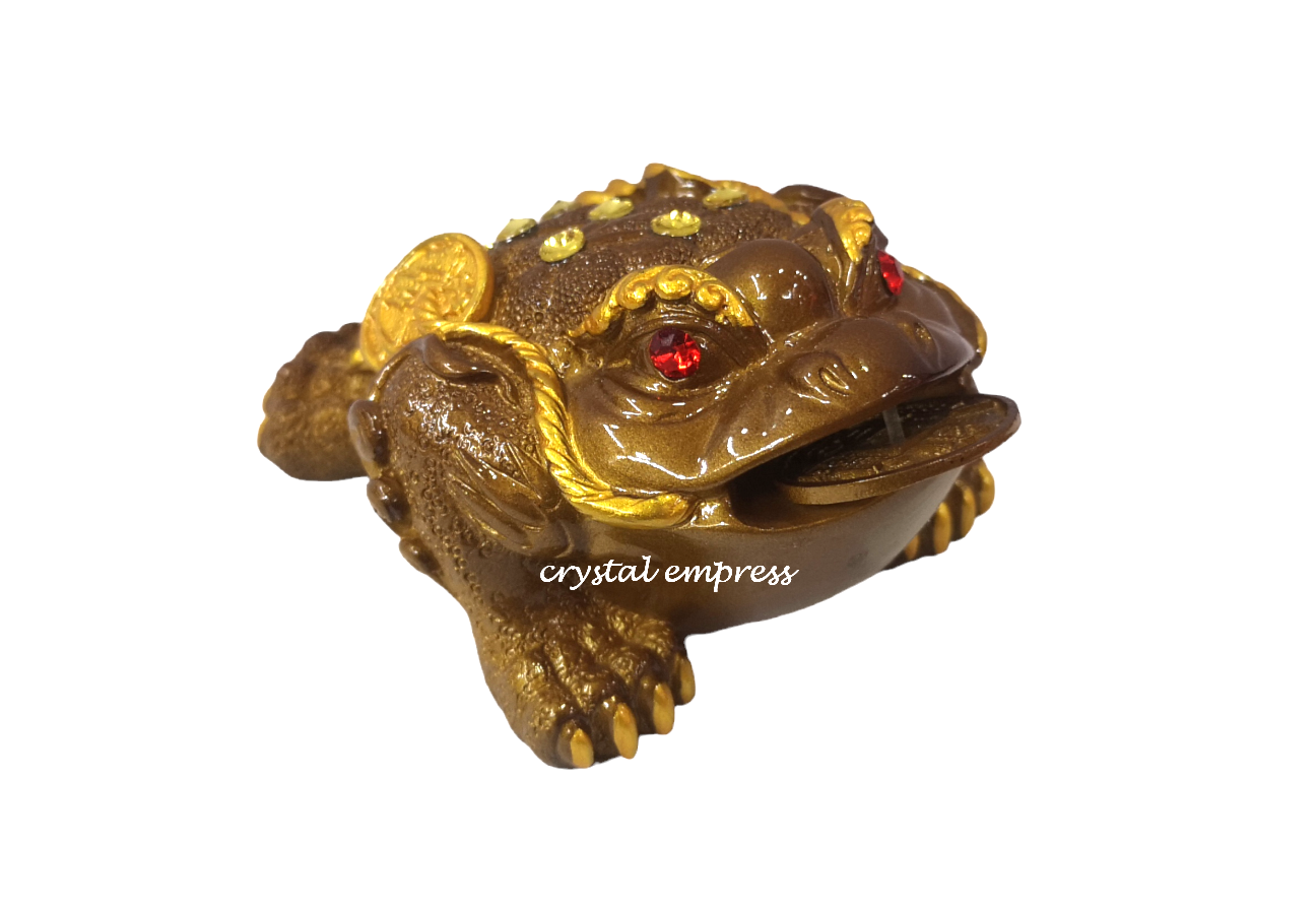 5″ Yellow Money Frog Biting Coin (Wealth Luck & Reversal of Luck ...
